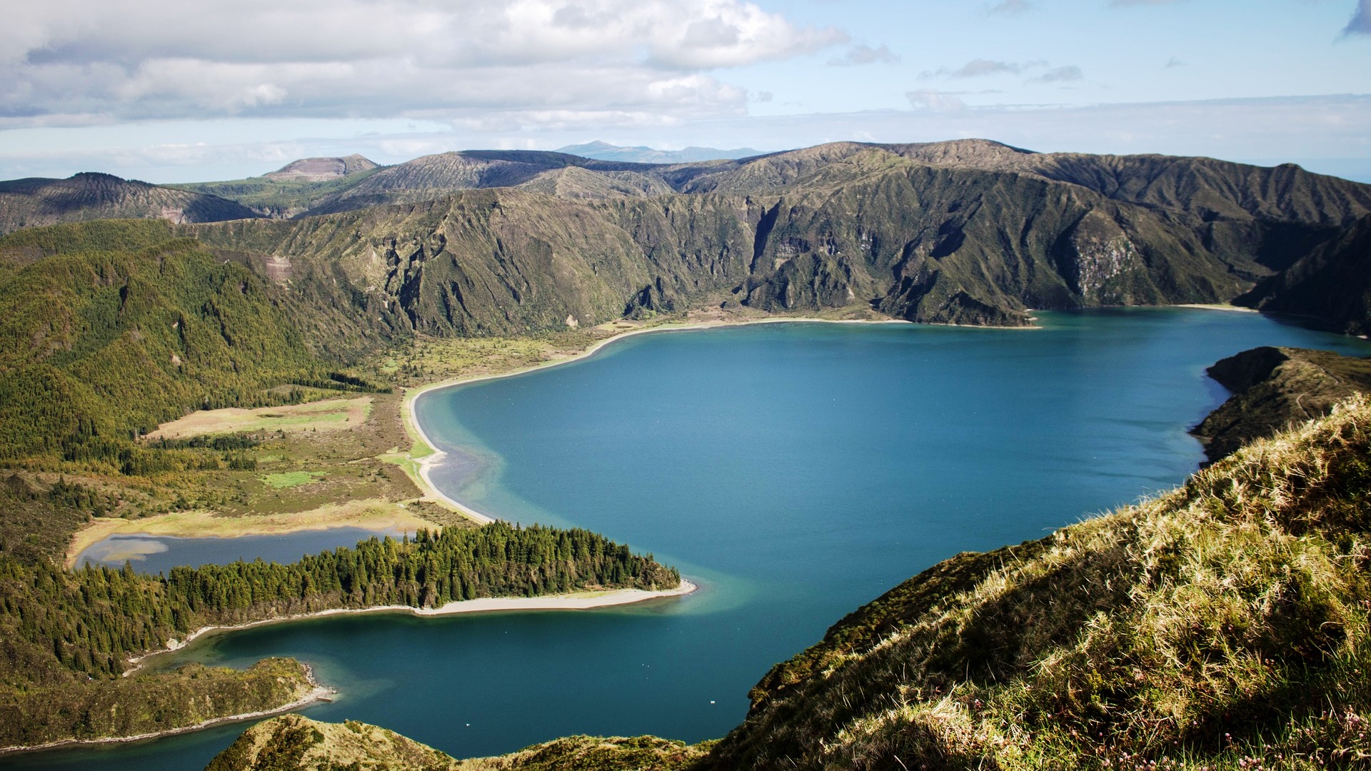 Ecotope: definition, meaning, features, structure ...