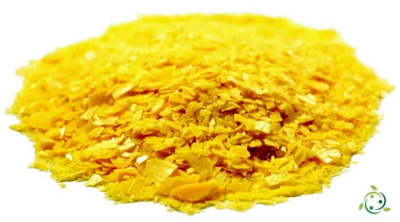 Carnauba wax: occurrence in nature, extraction, characteristics