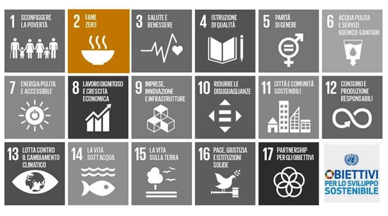 Agenda 2030 - Objetivo 2: en la actualidad, en el mundo, el ...