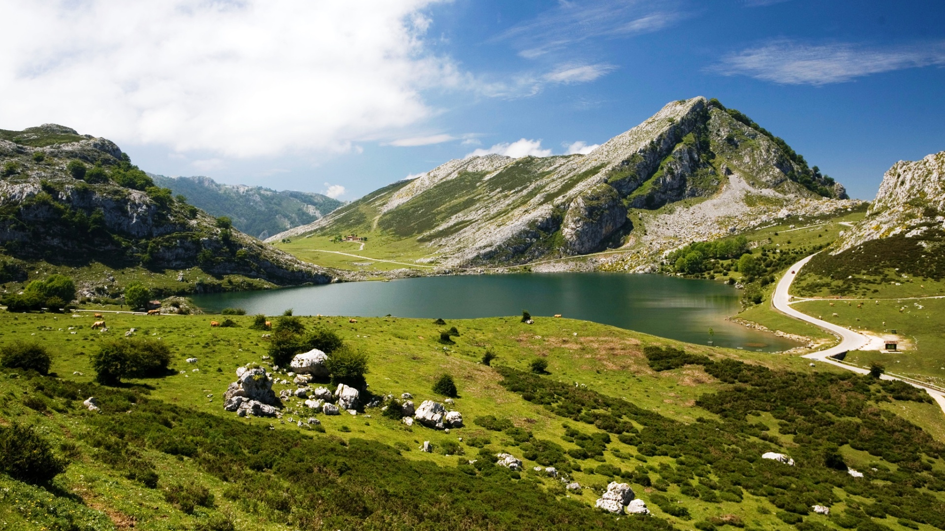 Picos de Europa National Park: geography, climate, flora, fauna