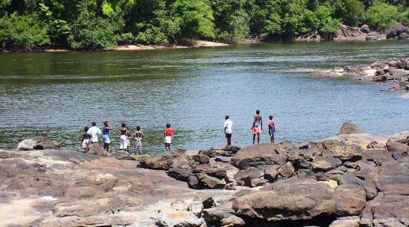 Flora y fauna de Surinam Archivi - An Eco-sustainable World