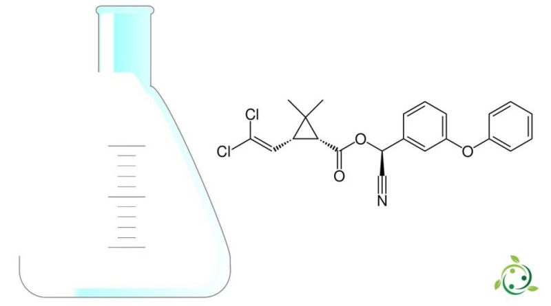 Piretroides: ingredientes activos, toxicidad para humanos, toxicidad