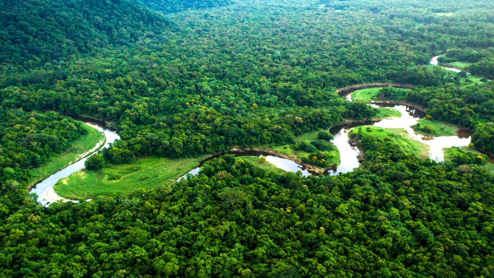 Amazon River: Etymology, History, Geography, Flora, Fauna ...