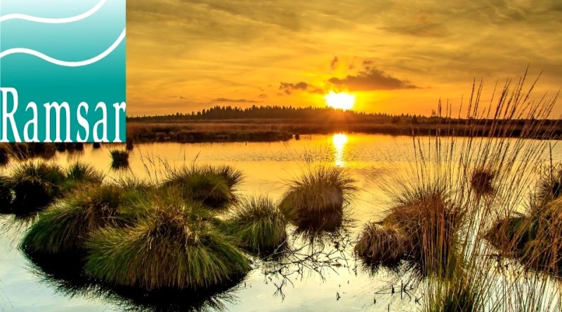 Ramsar Convention: Objectives, Purposes, Bodies, Wetlands ...