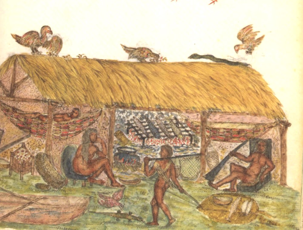 The Taino and agriculture: crops, techniques, tools ...