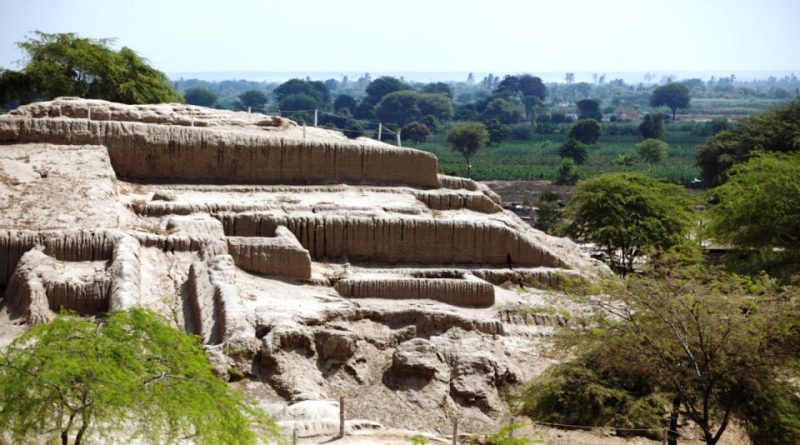 The Vicús and agriculture: history, origin, crops, tools, techniques ...