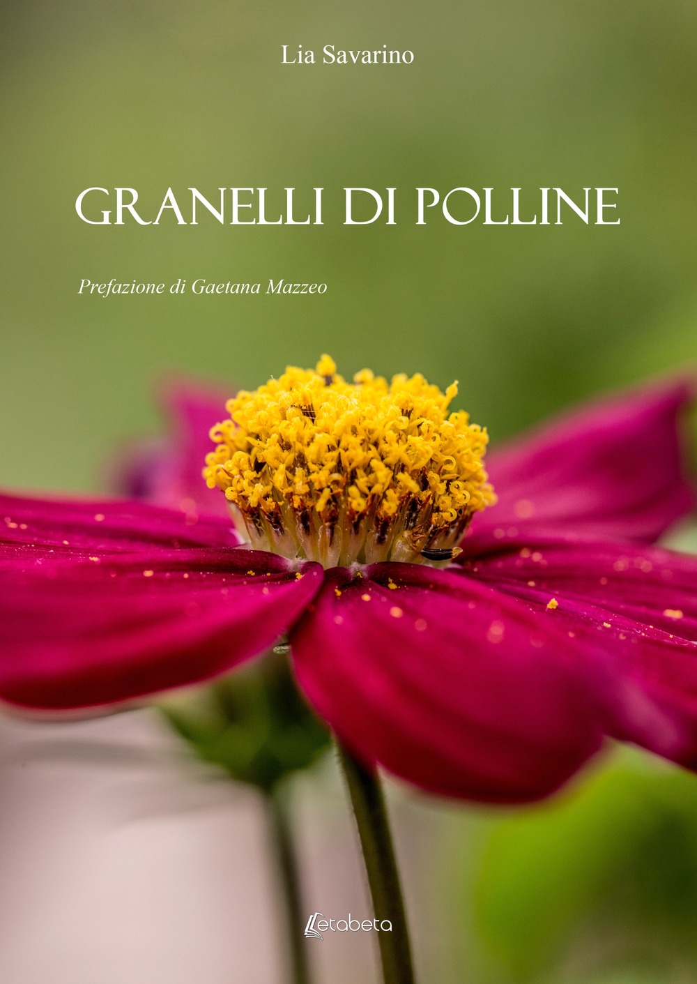 Granelli di Polline: recensione, contenuto, messaggio profondo ...