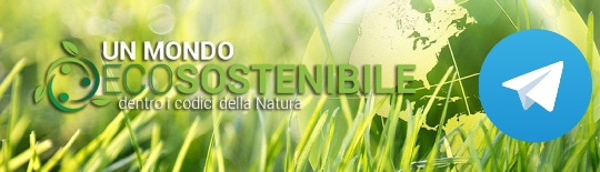 Cariopside: definición, significado, composición, morfología...