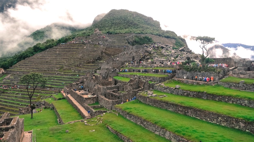 Los Incas y la agricultura: Historia, Tradiciones agrícolas, Cultivos...