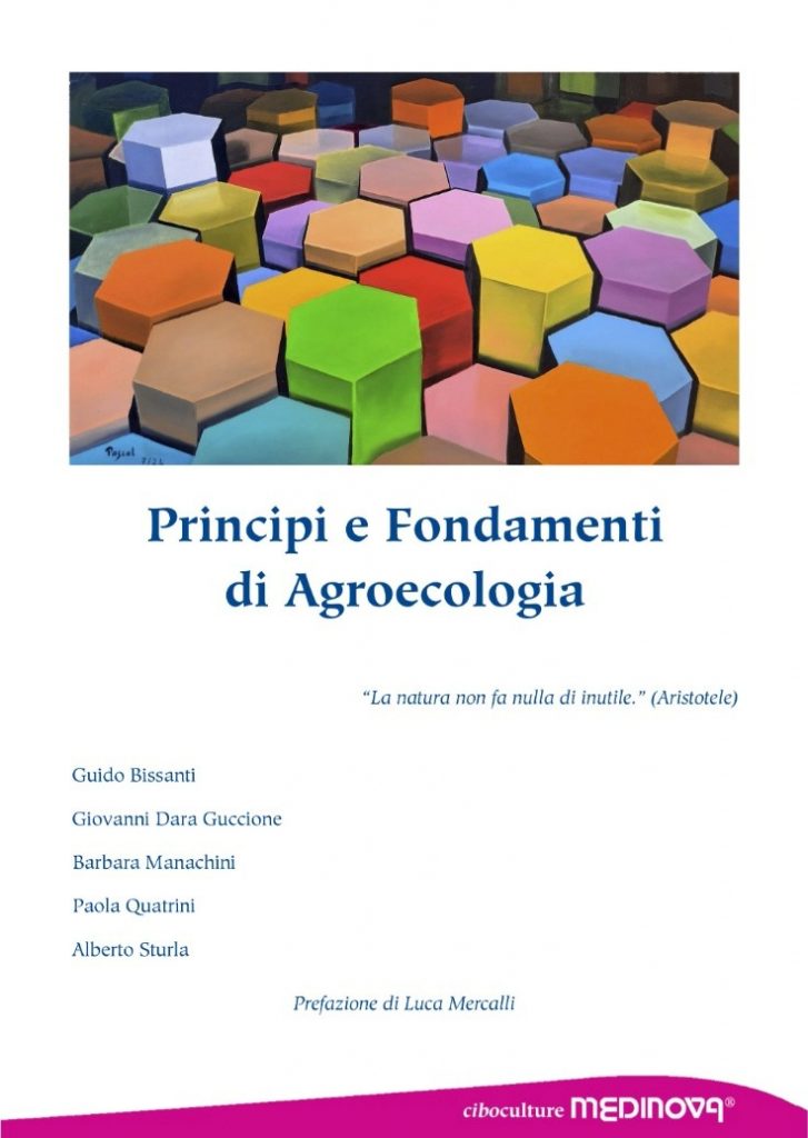 Cariosside: definizione, significato, composizione, morfologia ...