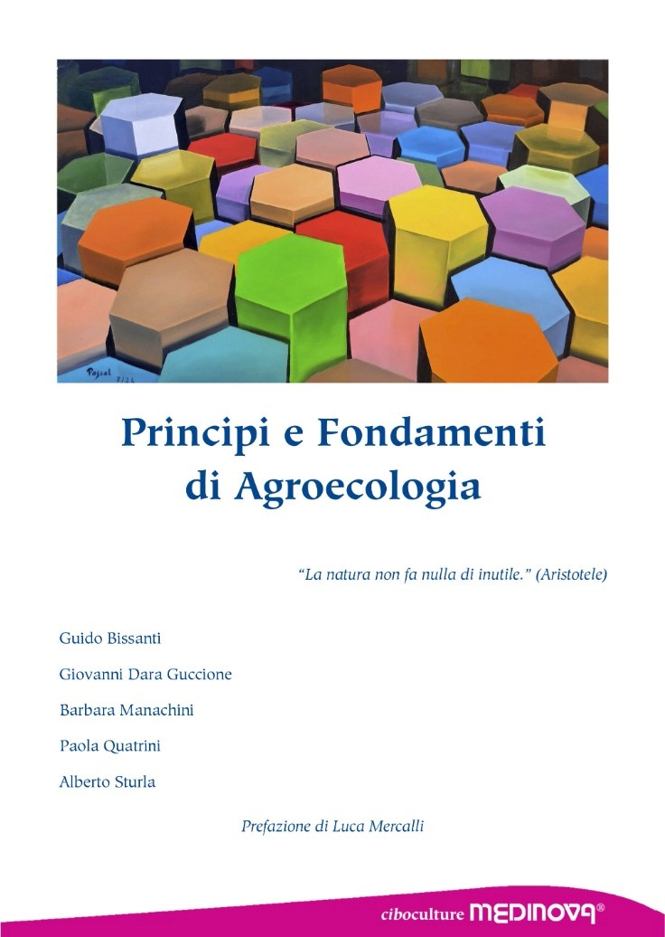 Cariopside: definición, significado, composición, morfología...