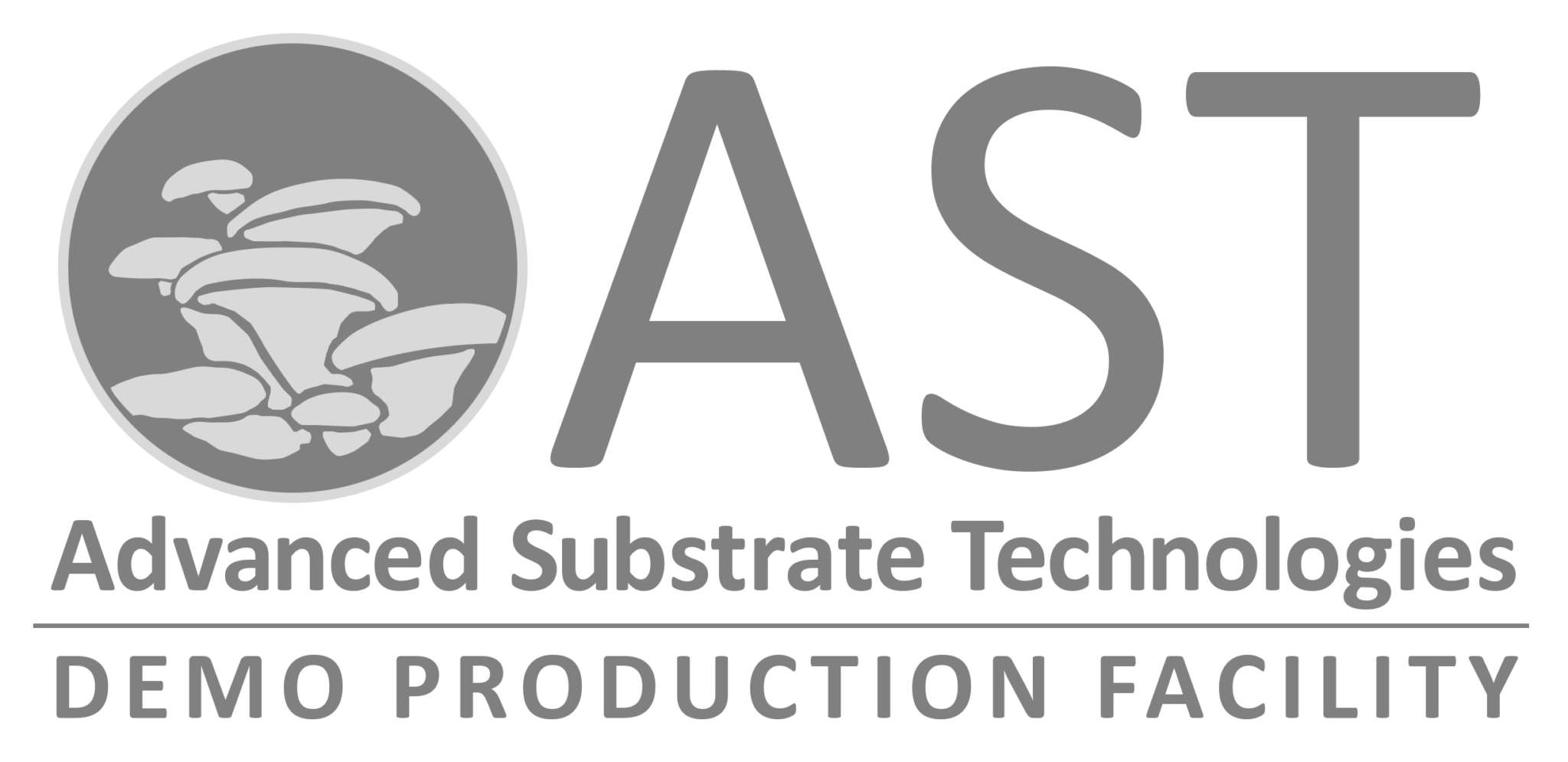 Contact – Advanced Substrate Technologies
