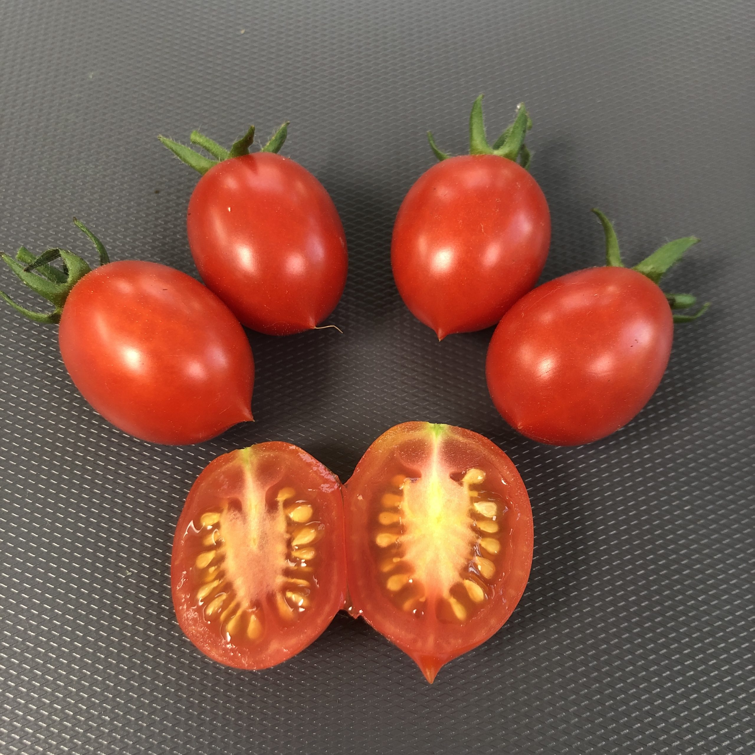 Reverend Michael Keyes - Badskin's Garden