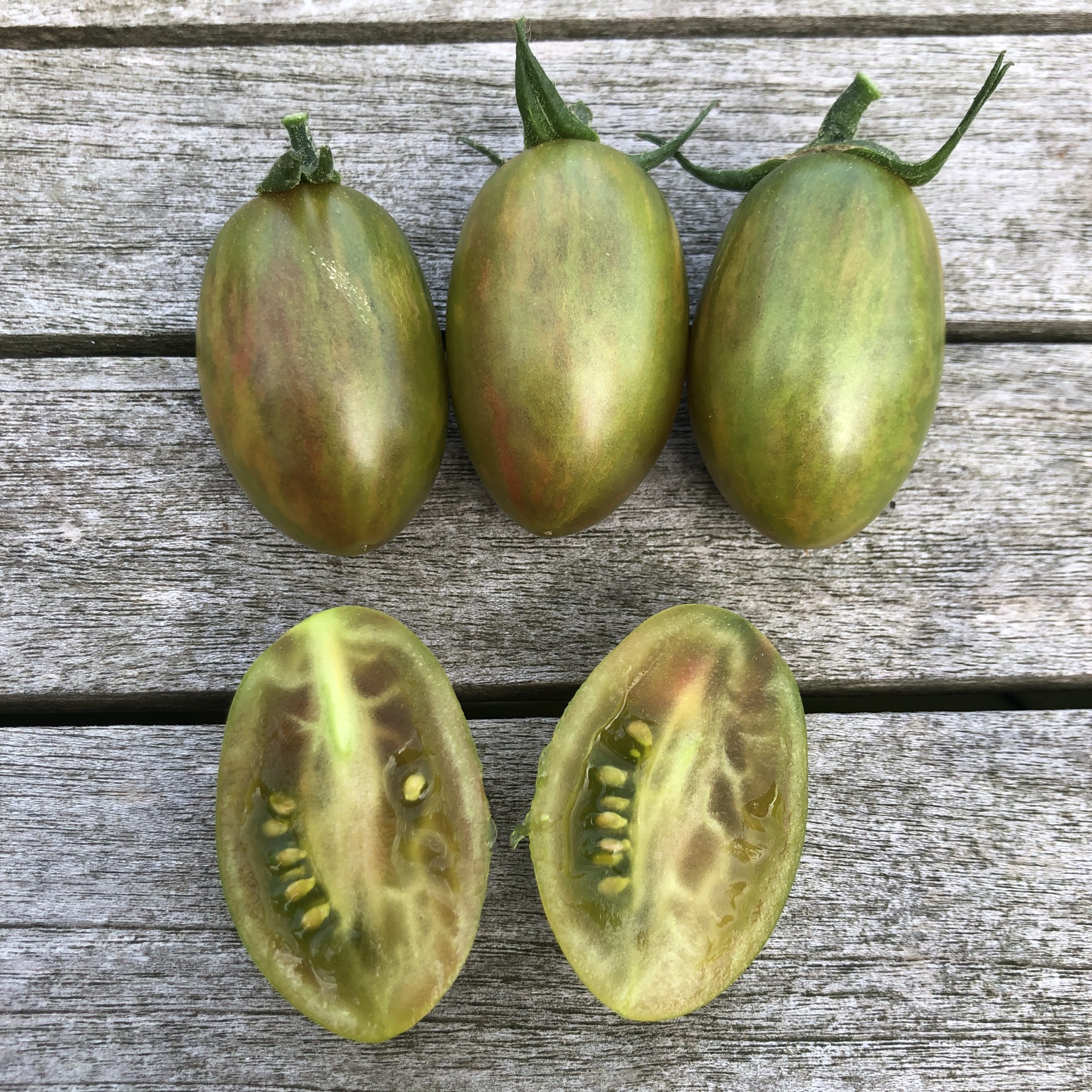 Green Ripper - Badskin's Garden