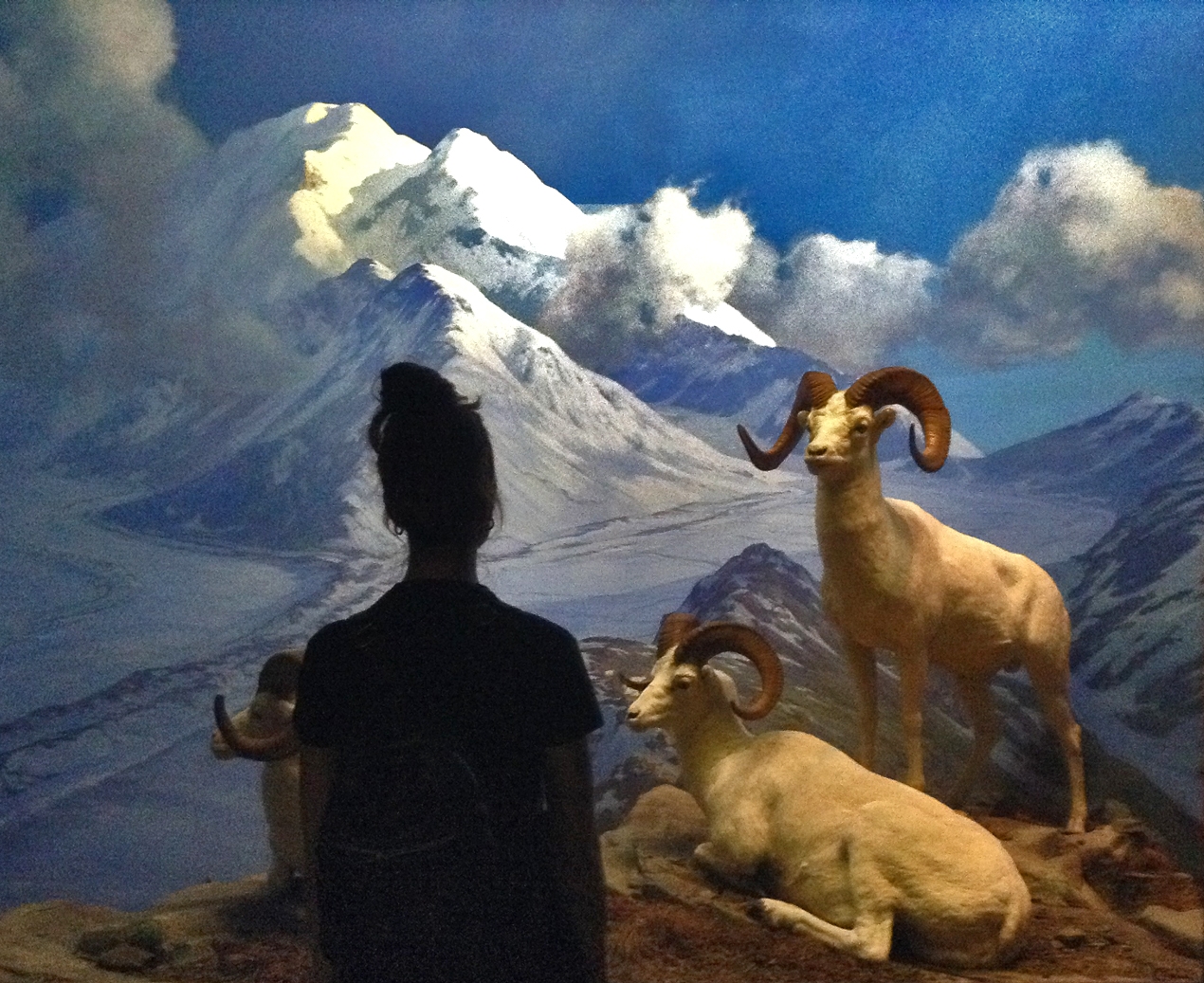 Barbara Ellison – BE