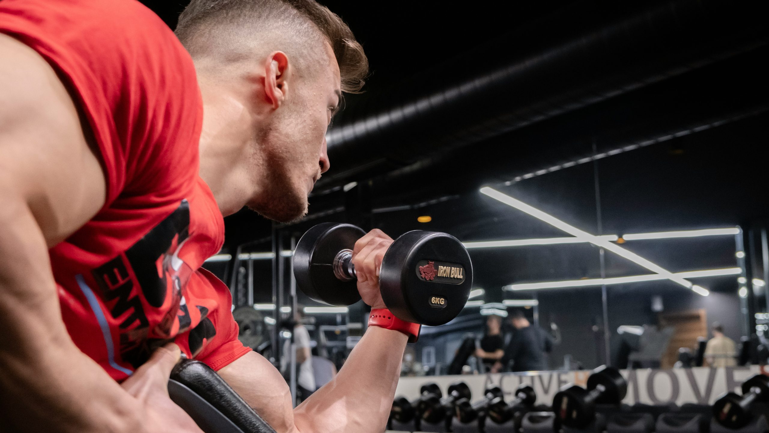 Muscle Building: Protein Dynamics for Starters