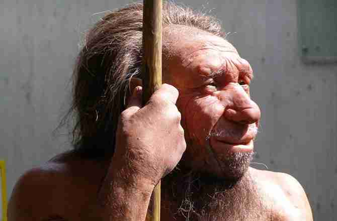 Kurs Evolution – Ugglans Biologi