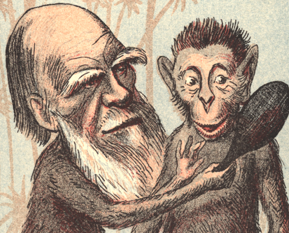 Kurs Evolution – Ugglans Biologi