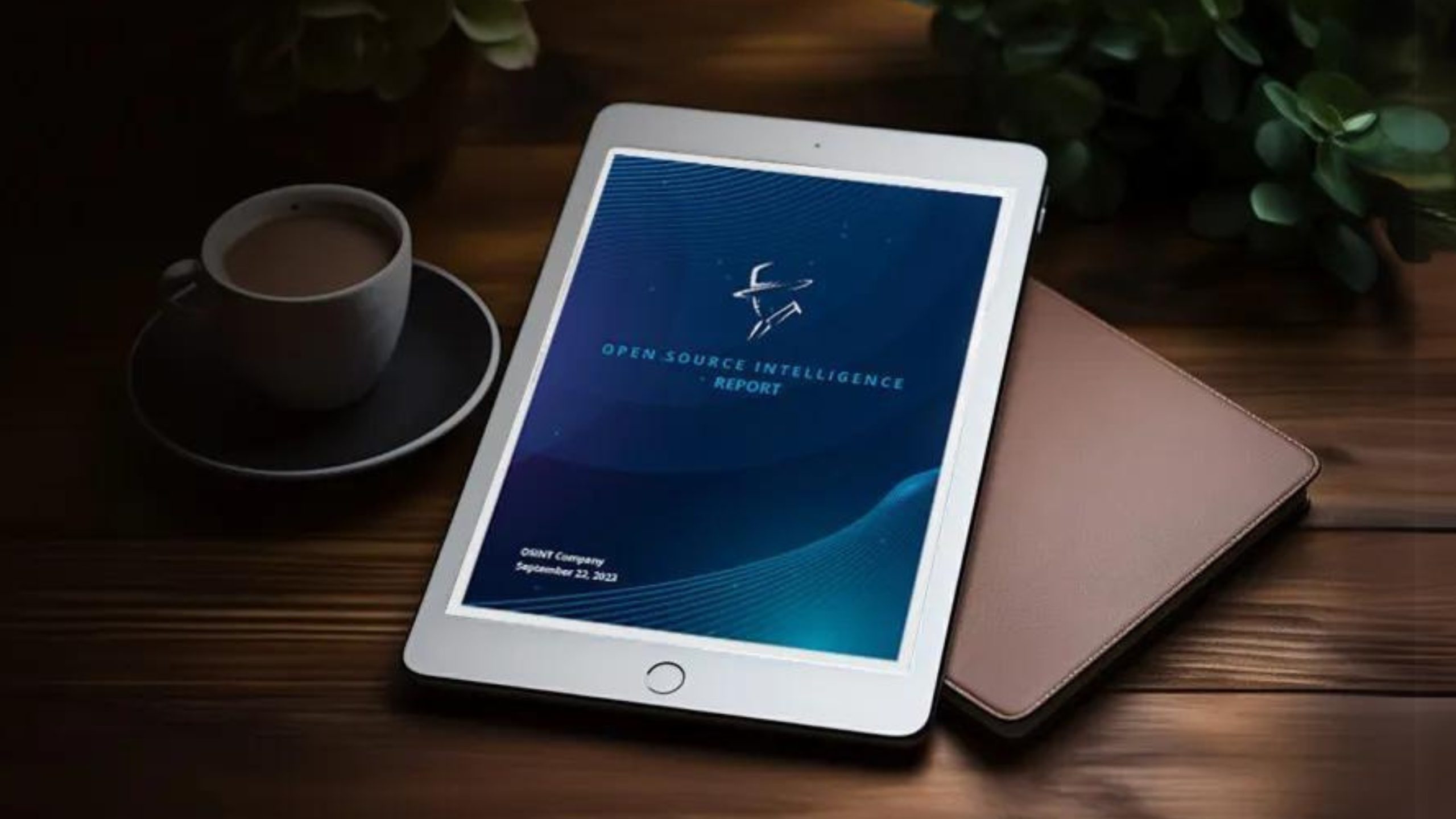 Master OSINT Reports: 5 Expert Tips for Effective Reports – Kase ...