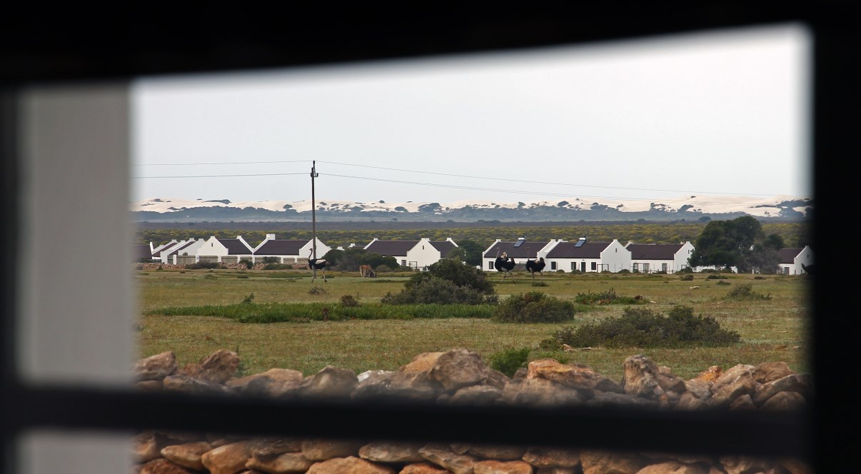 5 moments that made our visit to De Hoop unforgettable – Our world heritage