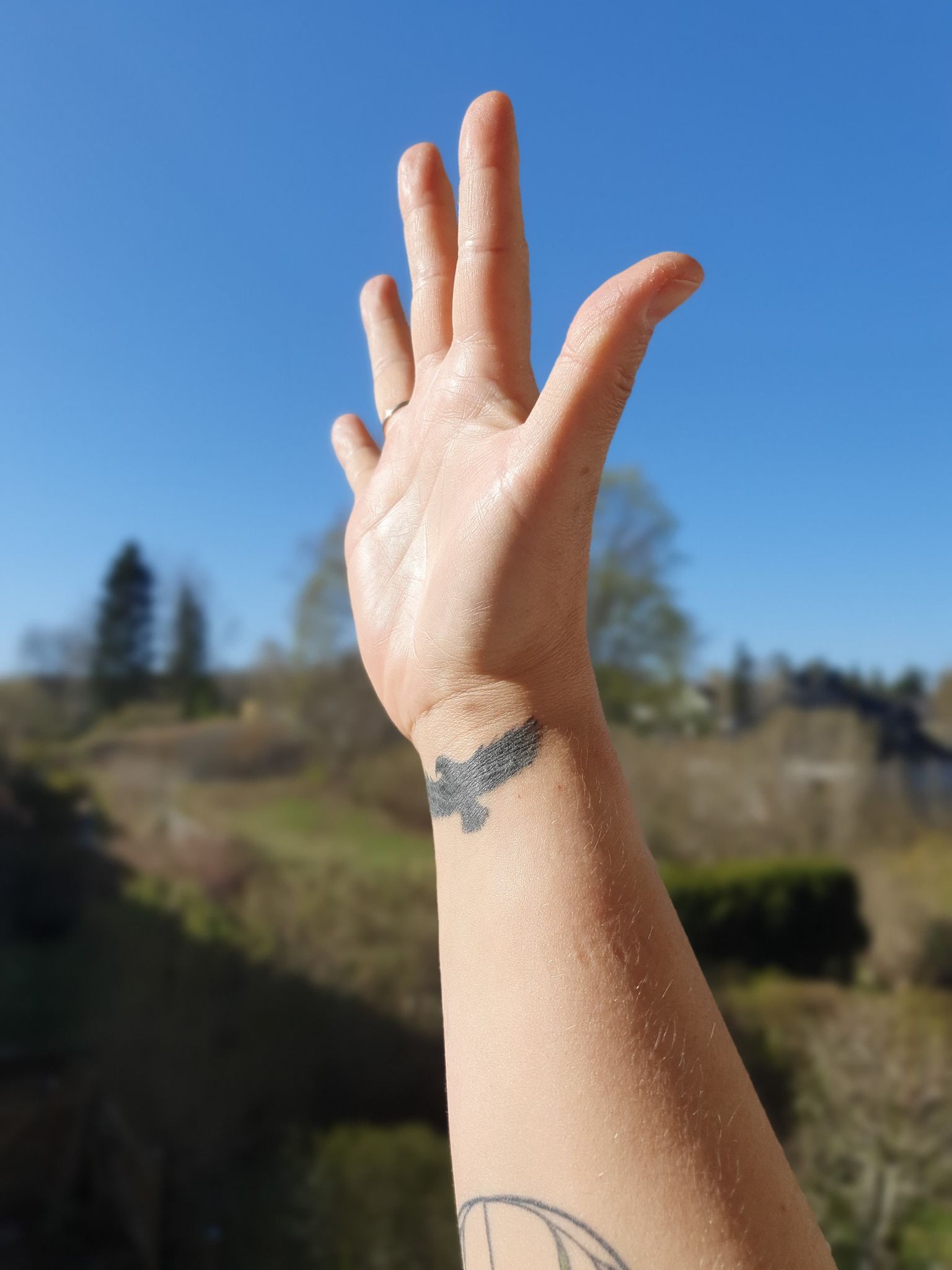 super power | ZEBRAZONE