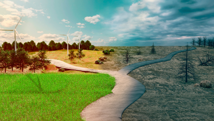 environmental change - Brand Education