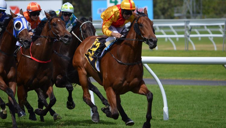 Discover the Incredible Benefits of Non Runner No Bet Betting