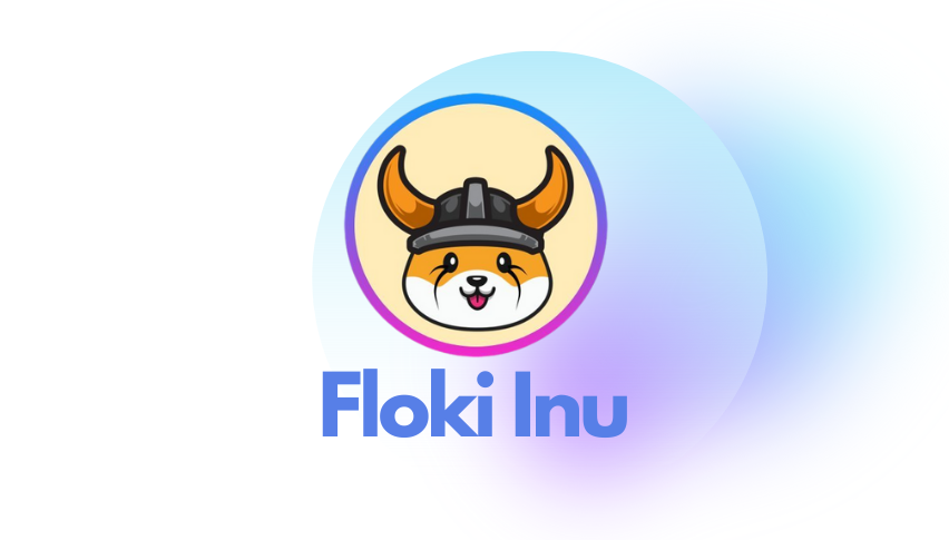 Beyond Memes: Understanding the Serious Side of Floki Coin Price