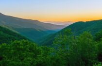 Meet American Rapper - Kantavius Calhoun aka KC MONEY