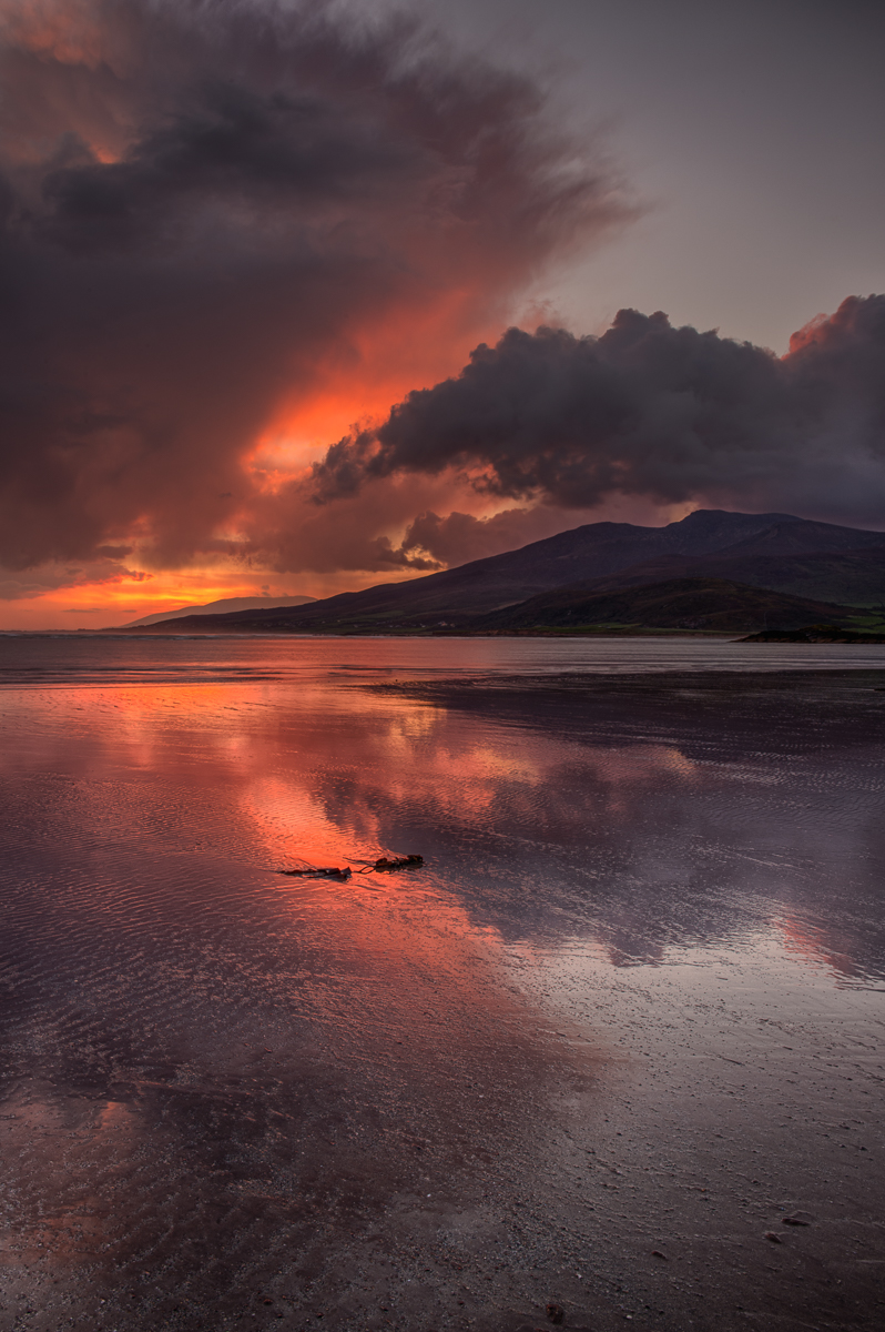 Mike Hall – Bristol Photographic Society