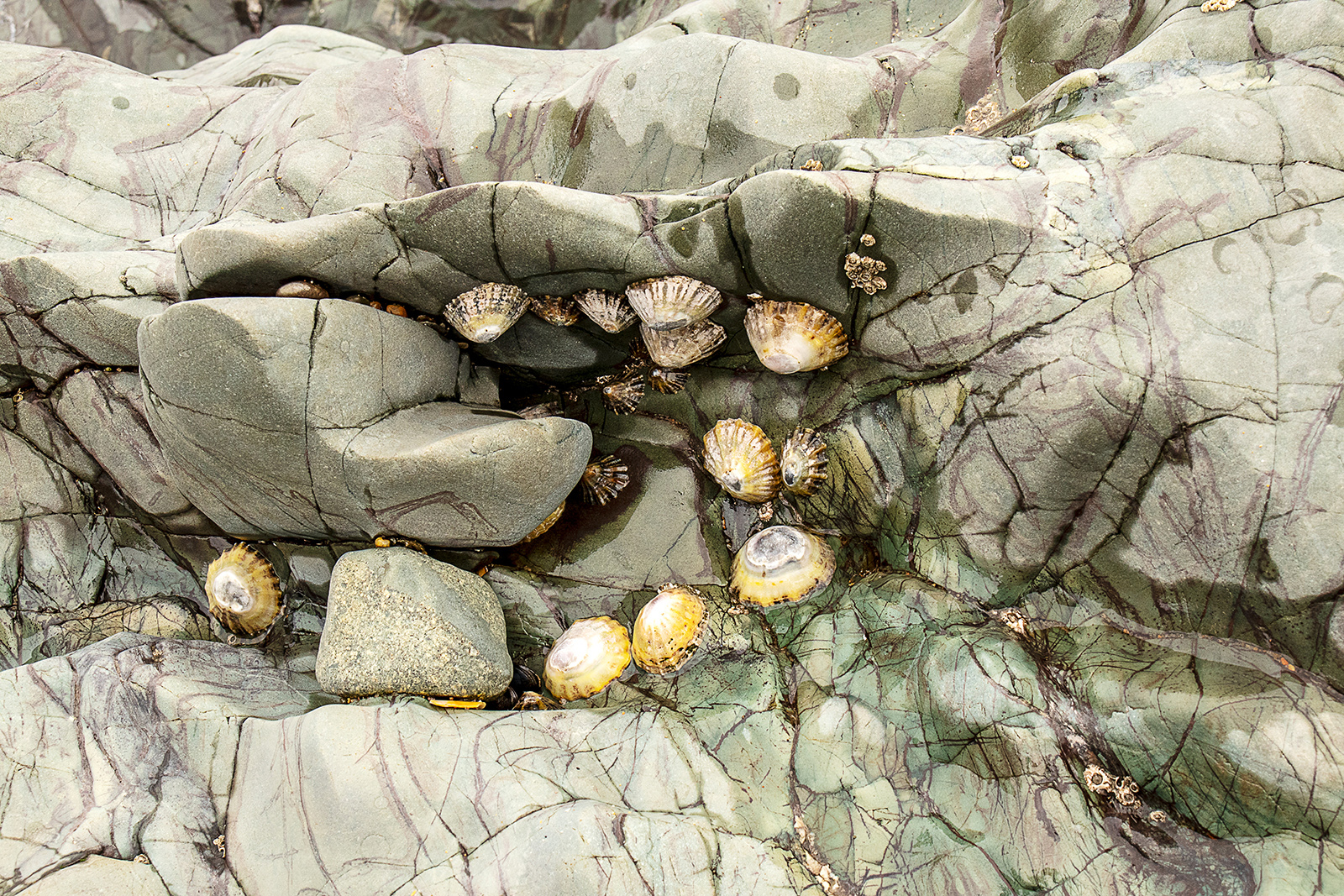 Danny Heaton LRPS, EFIAP, CPAGB – Bristol Photographic Society