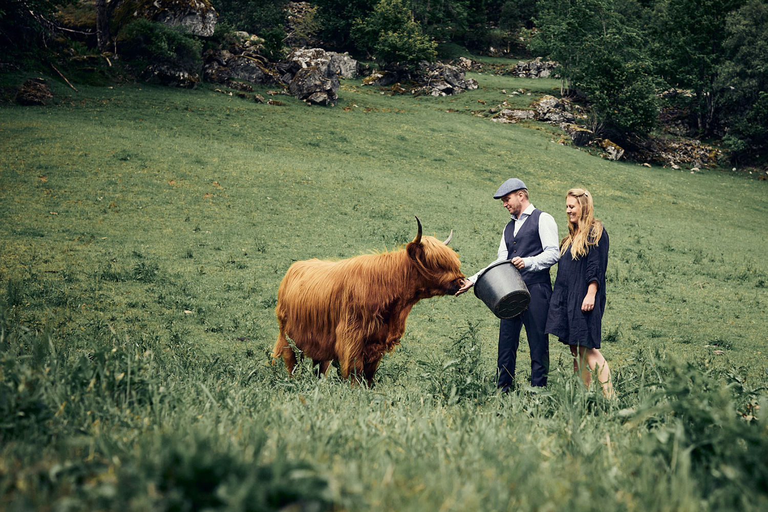 Buer Gård og Restaurant i Odda