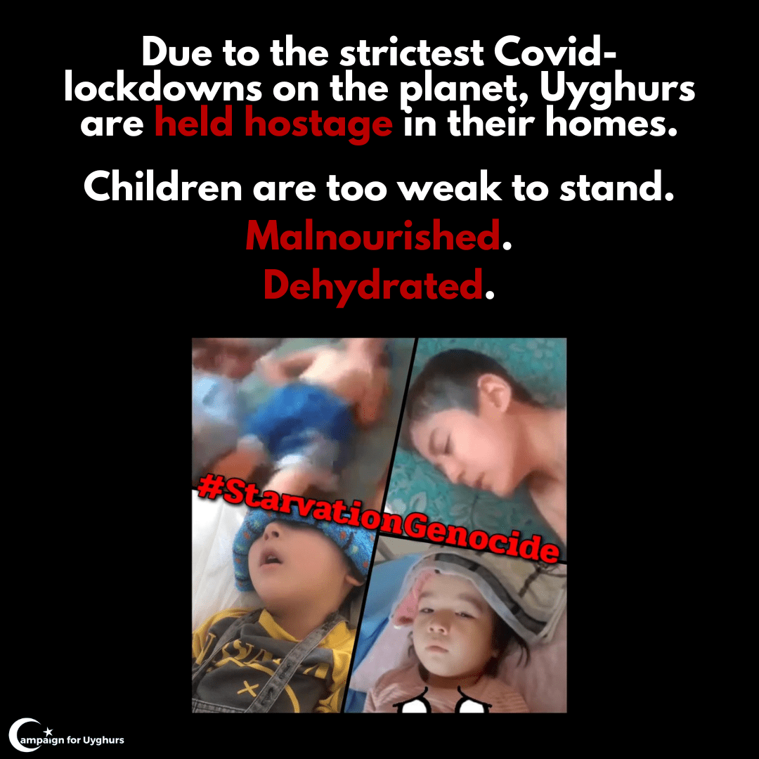 Uyghur Starvation Genocide, 9/22. Infographic. 8 slides. - Campaign For ...