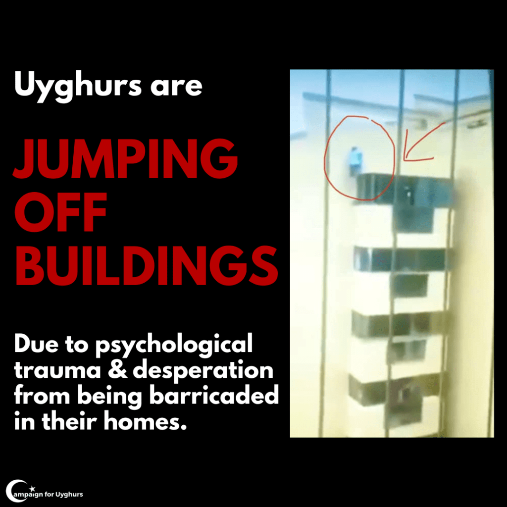 Uyghur Starvation Genocide, 9/22. Infographic. 8 slides. - Campaign For ...