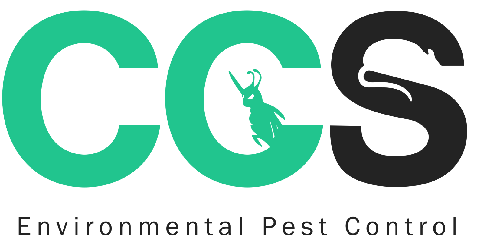 What Does a Flea Look Like? How to Identify, Prevent, and Get Rid of Fleas - CCS Environmental ...