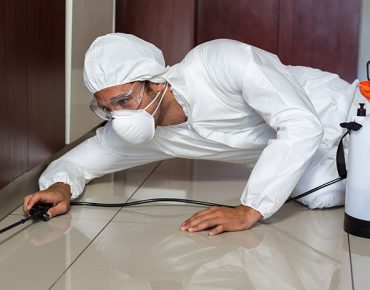 What is an Exterminator? Understanding the Role and Importance of Pest ...