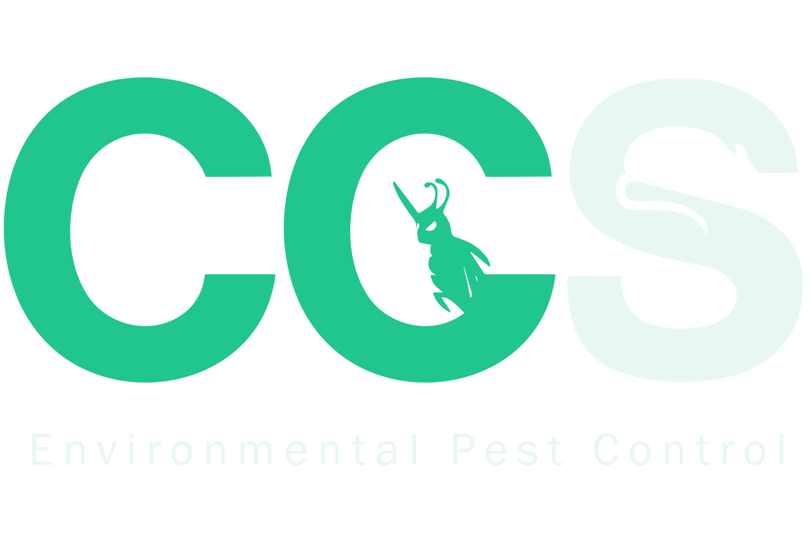 types of mice uk: House Mouse or Field Mouse