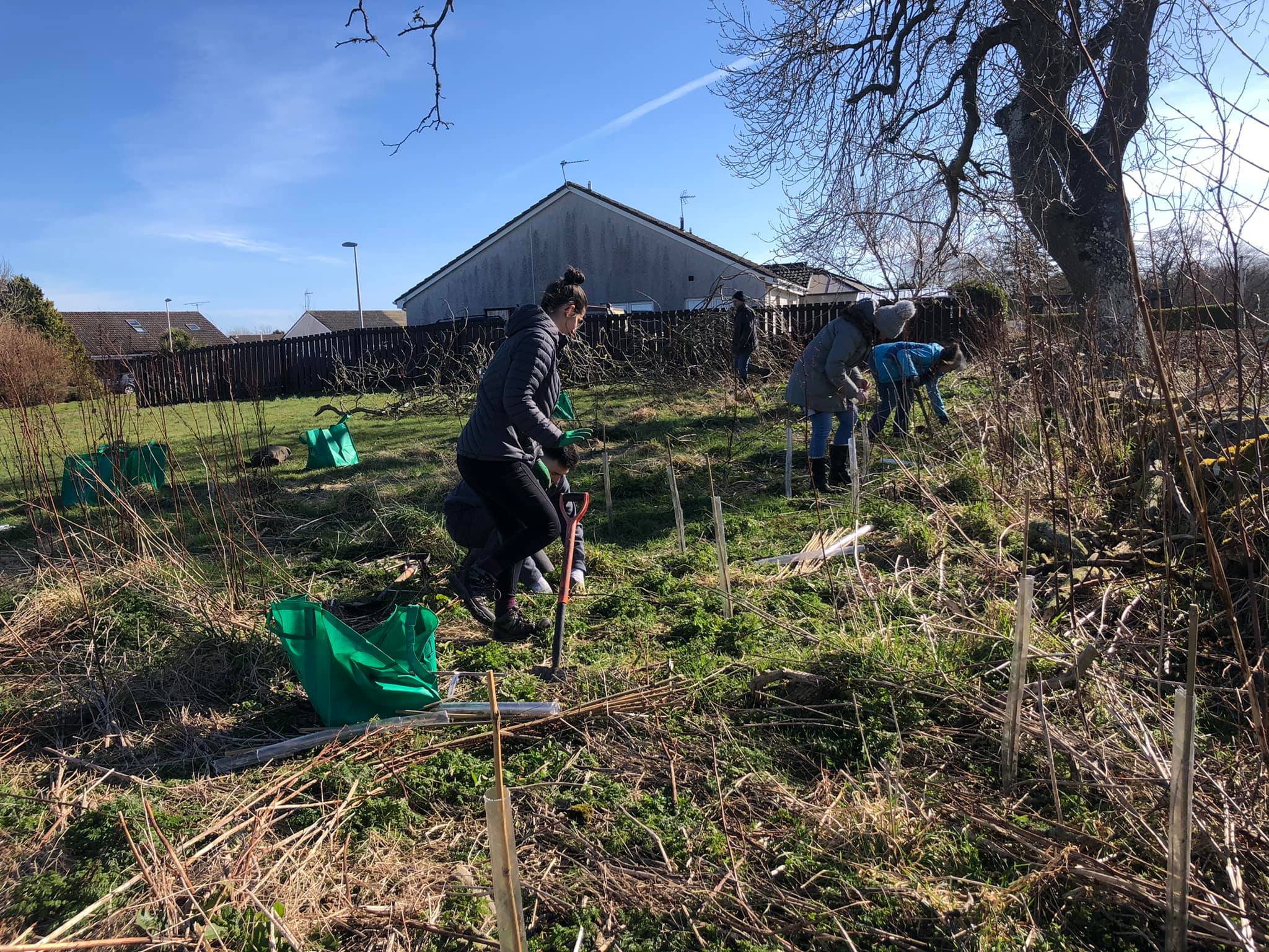 Press Release – UDNY CLIMATE ACTION