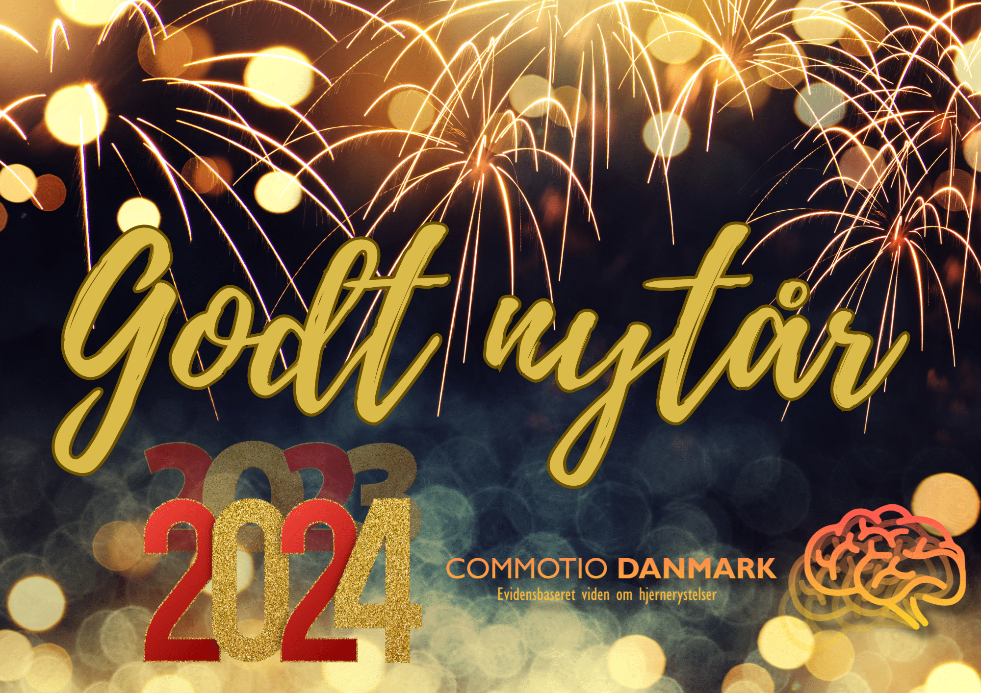 NYTÅR 2023 - Hjernerystelse | Commotio Danmark