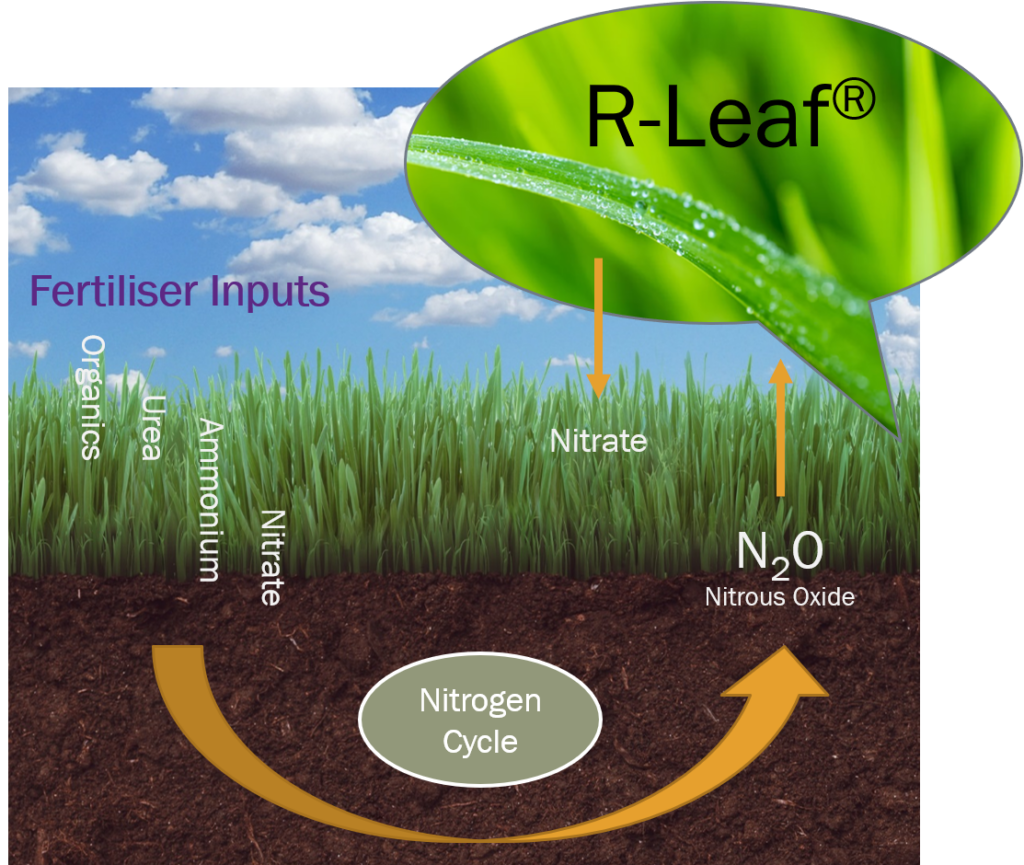 R-Leaf® – Crop Intellect