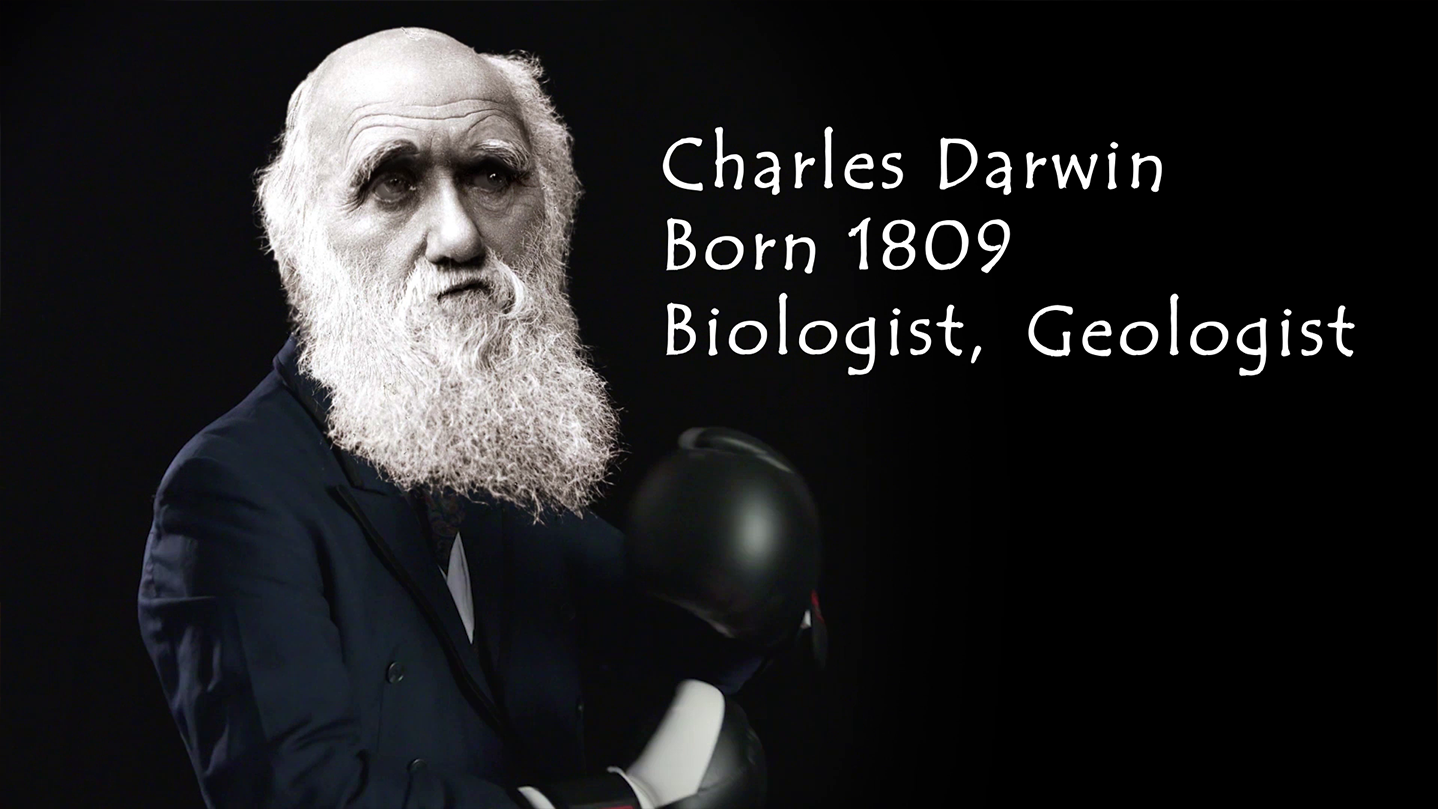 BBC Bitesize – Animation | Dreamtrap Animations