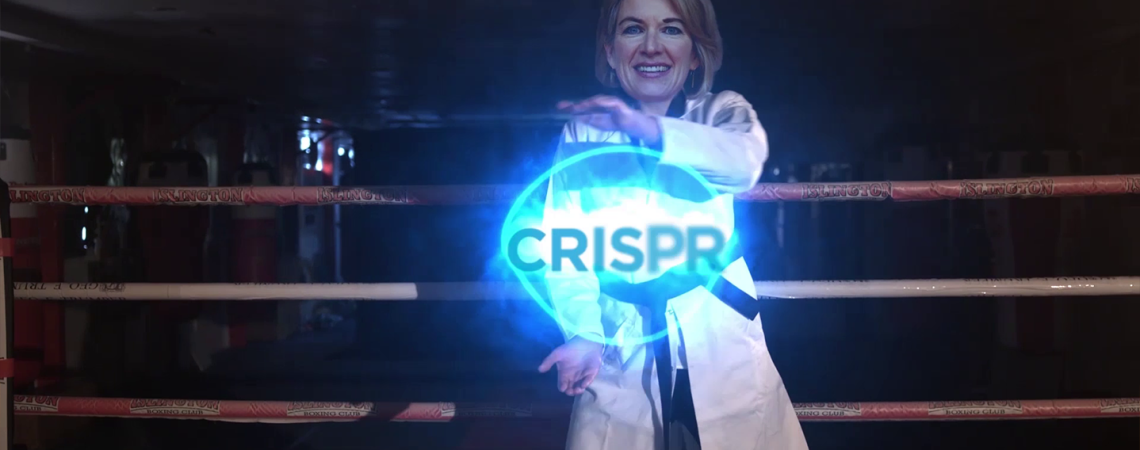 BBC Bitesize – Animation | Dreamtrap Animations