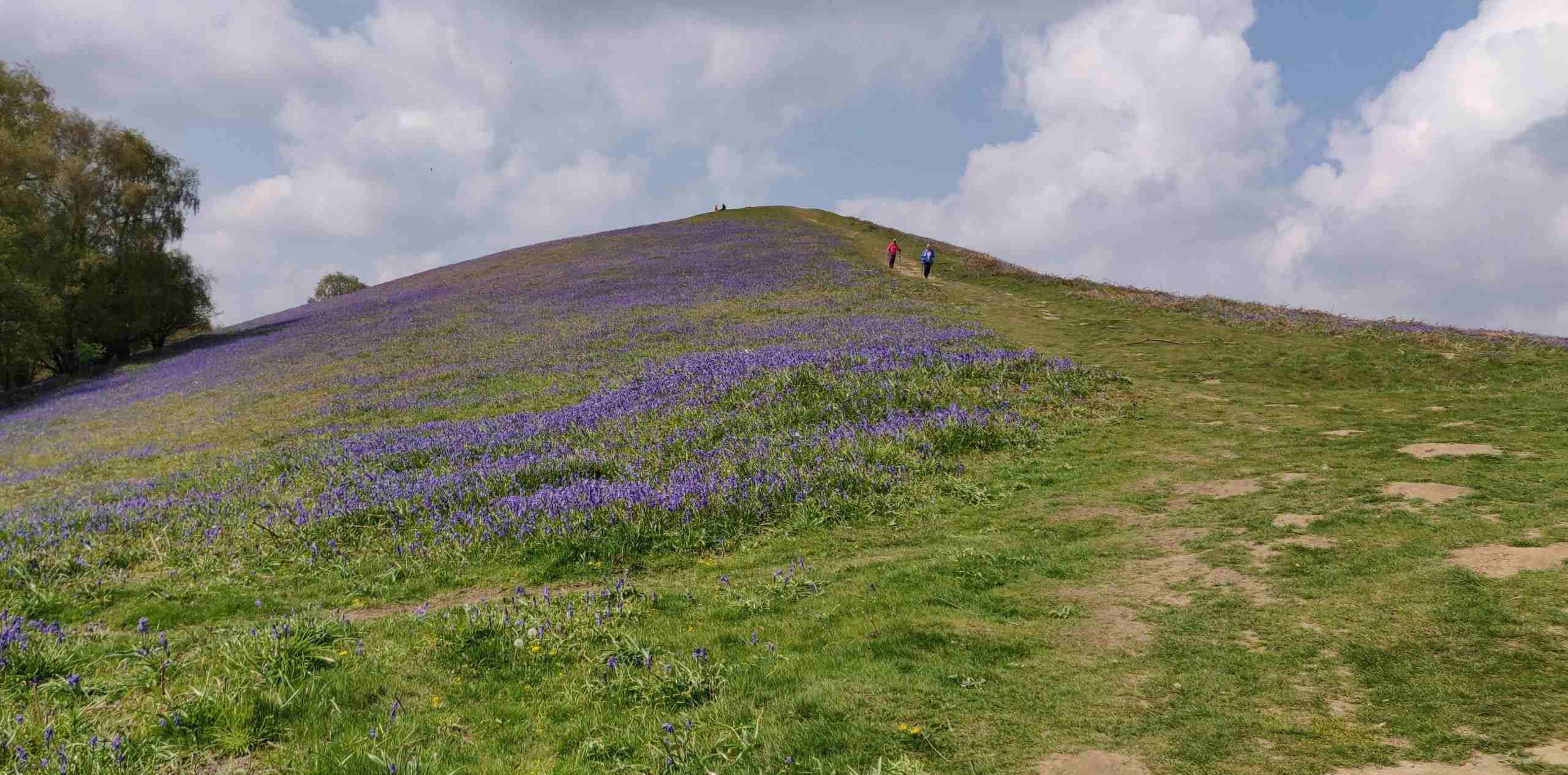 Monthly Walking Events