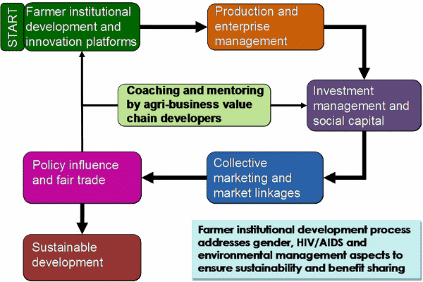 Business Models – Excel Hort Consult Agribusiness Incubator [EHCAI]