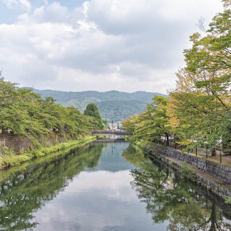 Autumn at Okazaki Canal - The way of the exploding fish
