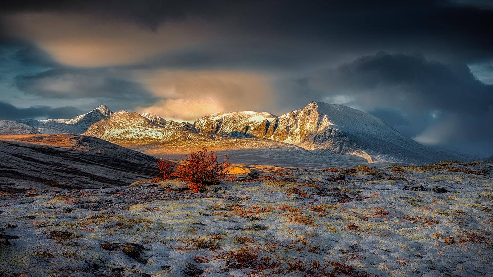 Rondane National Park / Allan Kierulff Naturfotograf