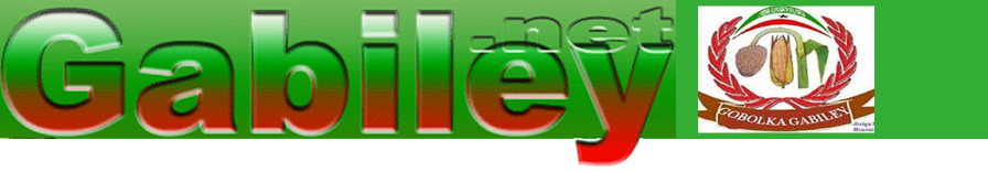 Gabiley News | Gabiley.net