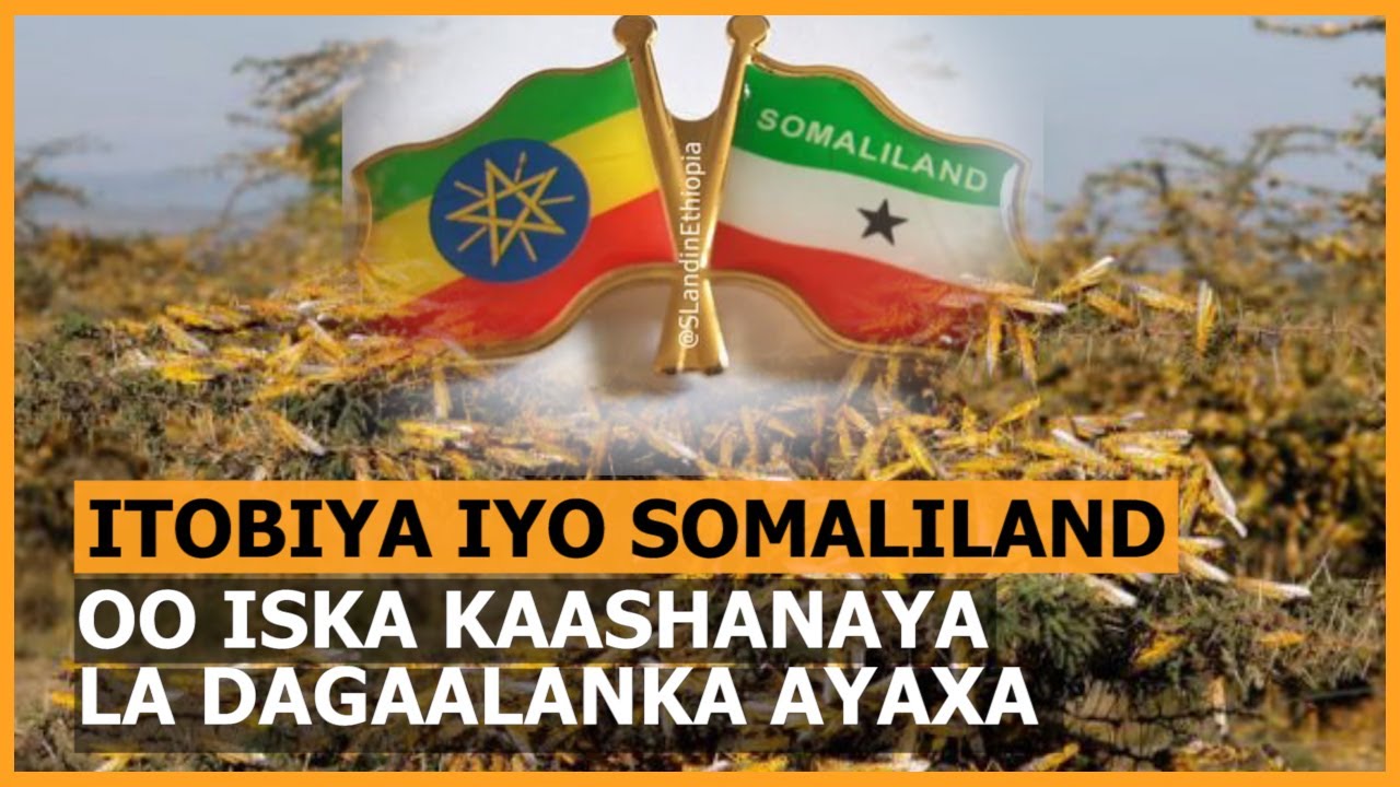 Madaxweynaha JSL oo Khadka Telephone Kula Hadley Madaxweynaha Dawalada ...