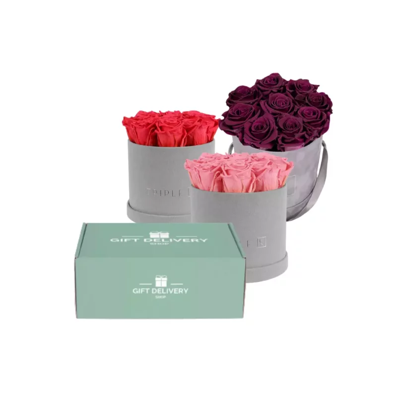 Preserved Roses Gift Box - Eternal Roses - Red White Real Roses Infinity