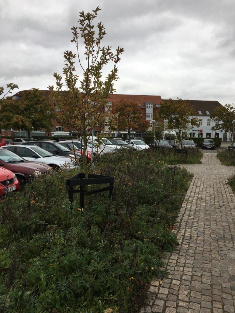 bynatur_aarhus3 | Anlægsgartnerne H.Hoffmann A/S